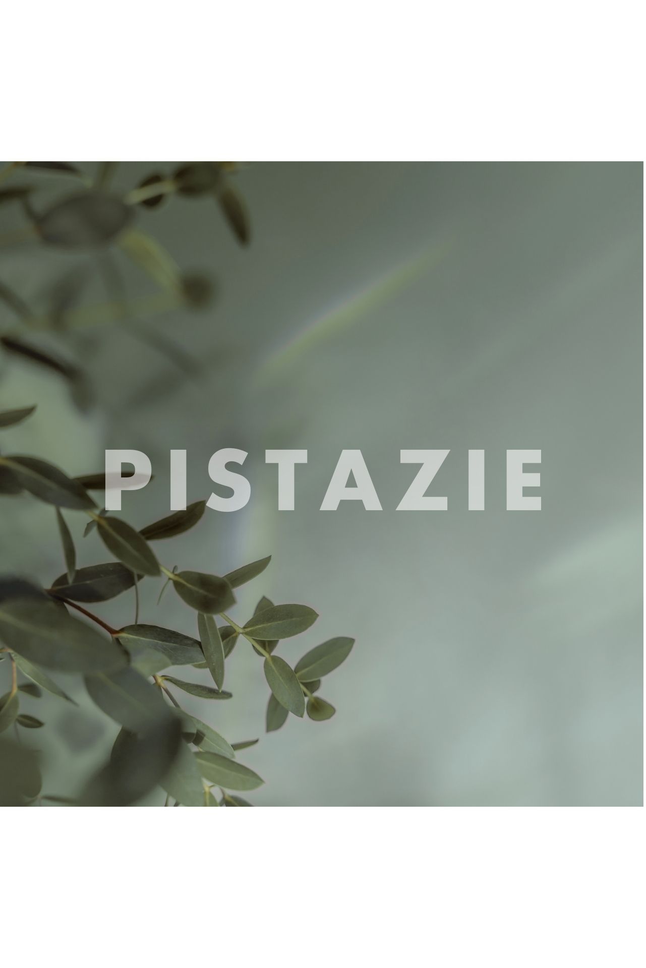 fleuresse® | stilvolle Qualitätsbettwäsche