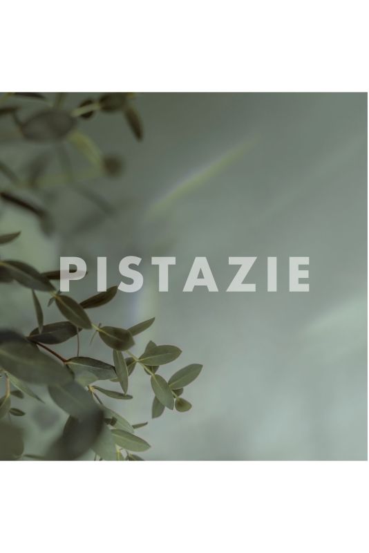 fleuresse® | stilvolle Qualitätsbettwäsche
